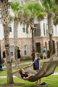 Profile for University of South Carolina Beaufort - HigherEdJobs