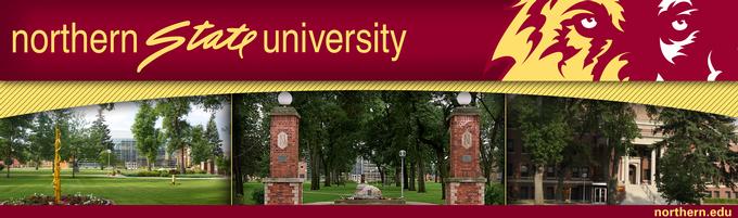 Northern State University Logo Northern State University Ball Shaped