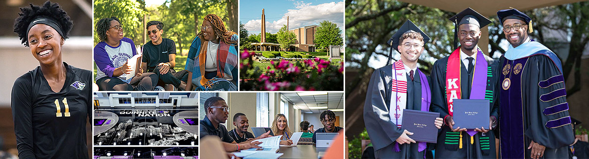 Vice President for Academic Affairs and Chief Academic Officer (VPAA ...