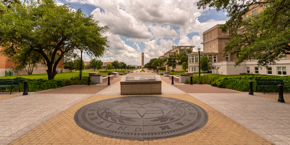 "The Stop-Out Phenomenon and How One University Rises to the Challenge ...