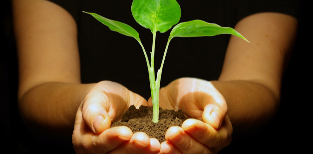 "What Does It Take for University Staff to Thrive?" - HigherEdJobs