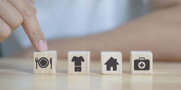 "Basic Needs Insecurity in Higher Education and What Faculty, Staff ...