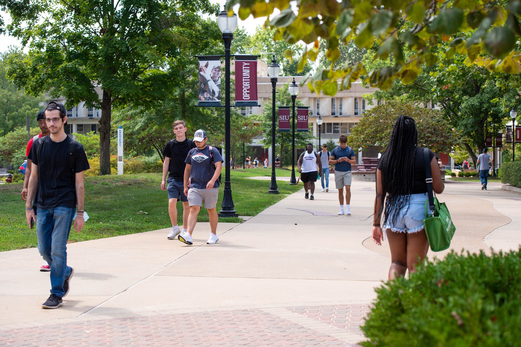 Profile for Southern Illinois University Carbondale - HigherEdJobs