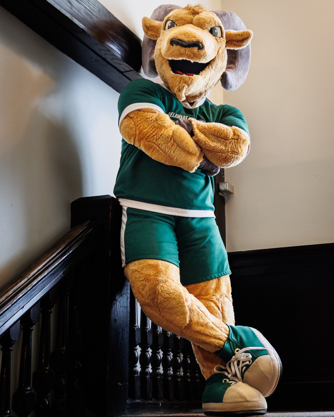 Profile for Delaware Valley University - HigherEdJobs