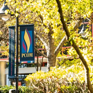 Profile for PCOM - HigherEdJobs