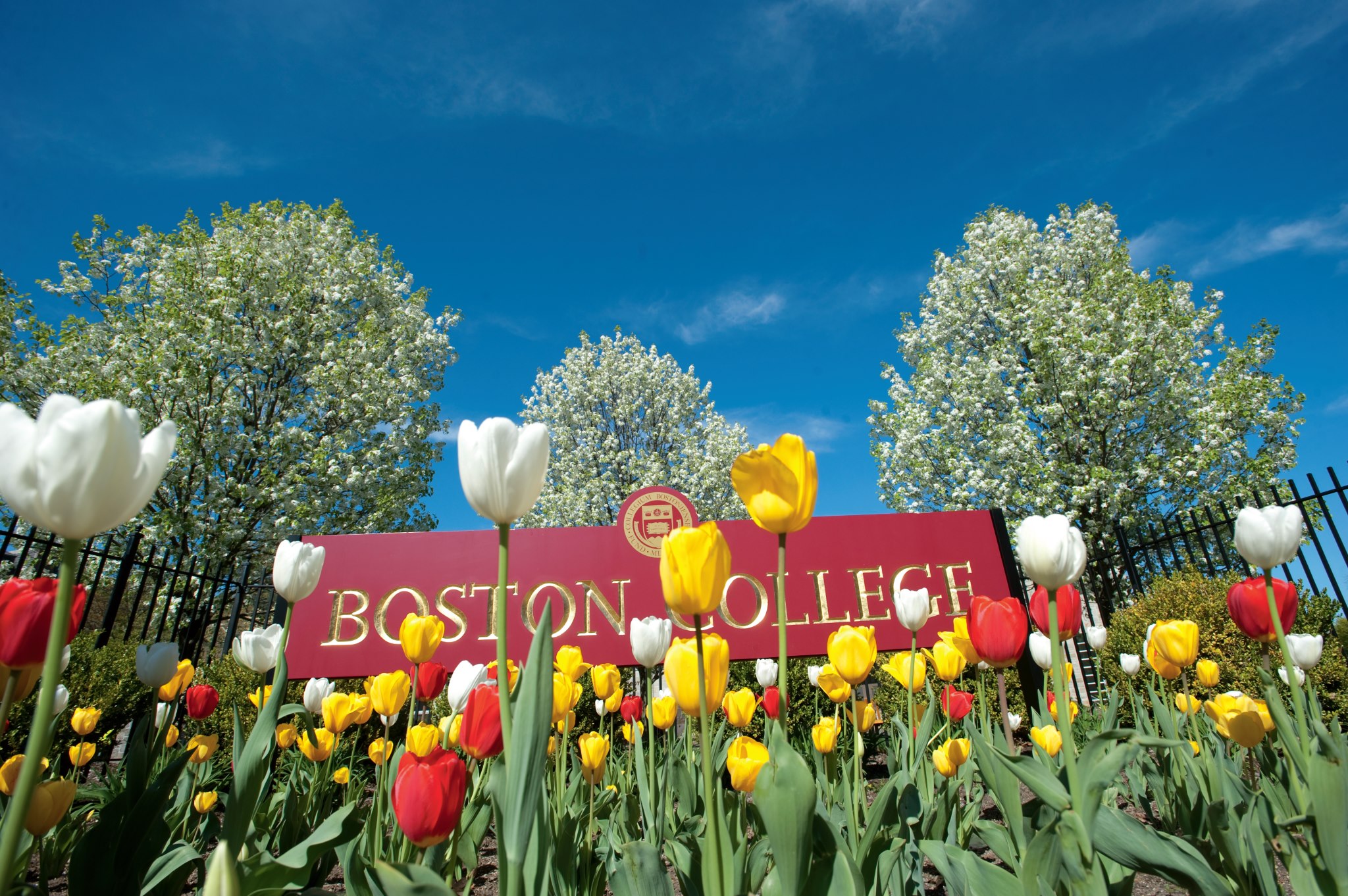 Profile for Boston College - HigherEdJobs