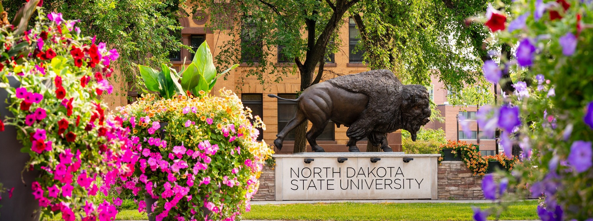 Profile for North Dakota State University - HigherEdJobs