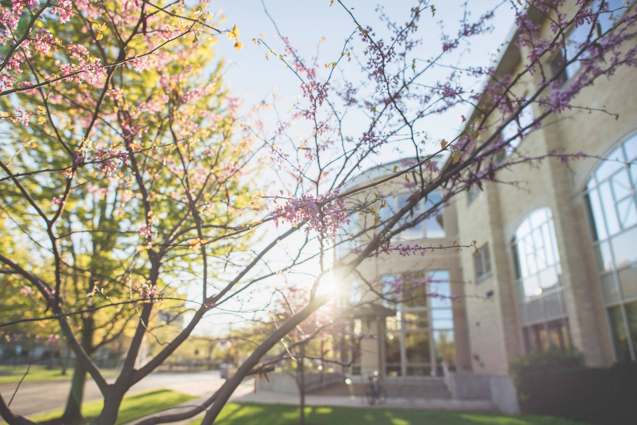 Profile for Edgewood College - HigherEdJobs