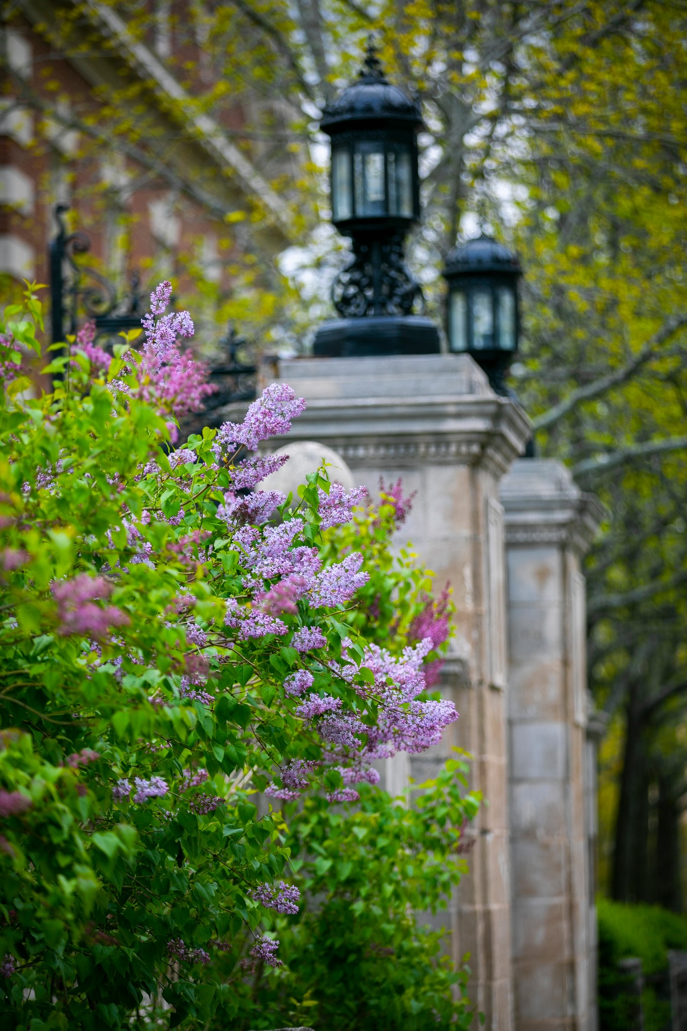 Profile for Harvard University - HigherEdJobs