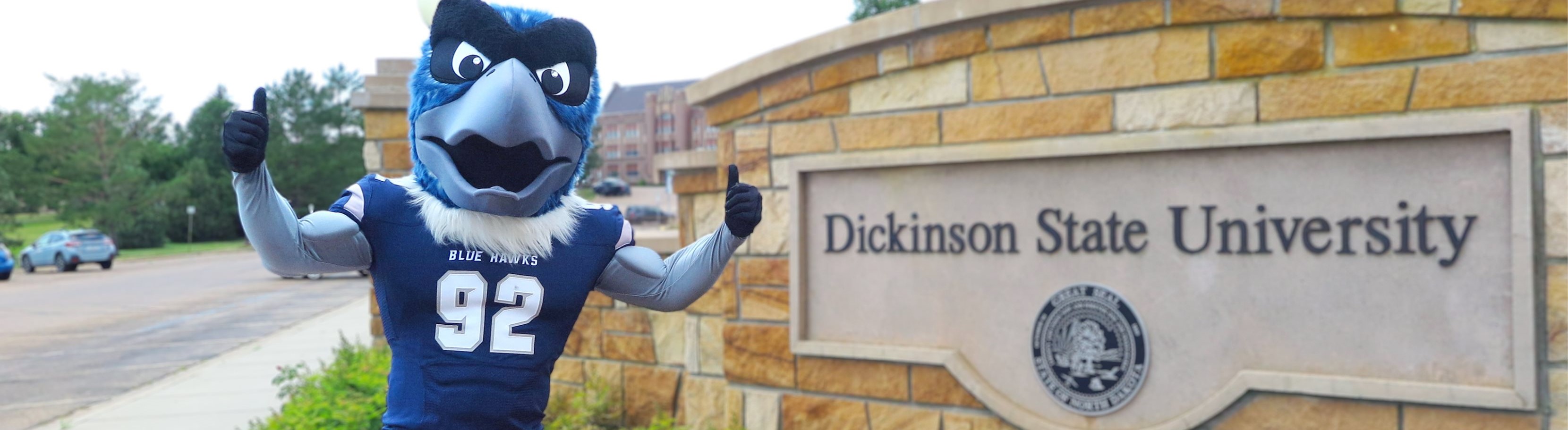 Profile for Dickinson State University - HigherEdJobs