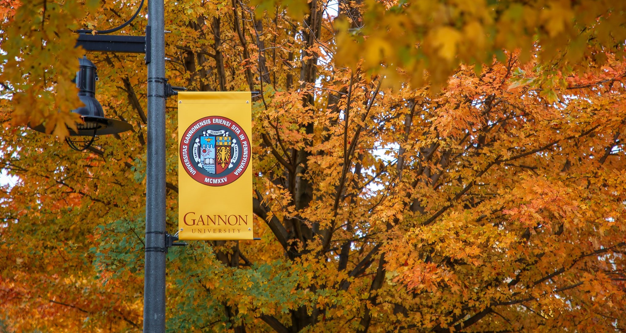 Profile for Gannon University - HigherEdJobs
