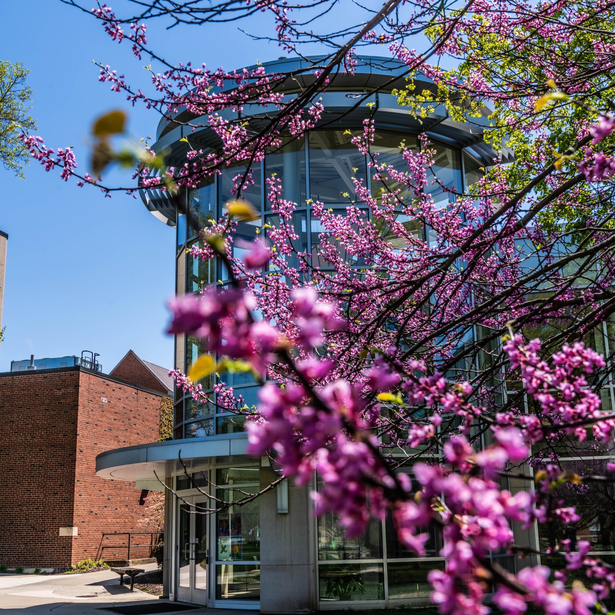 Profile for Illinois Wesleyan University - HigherEdJobs