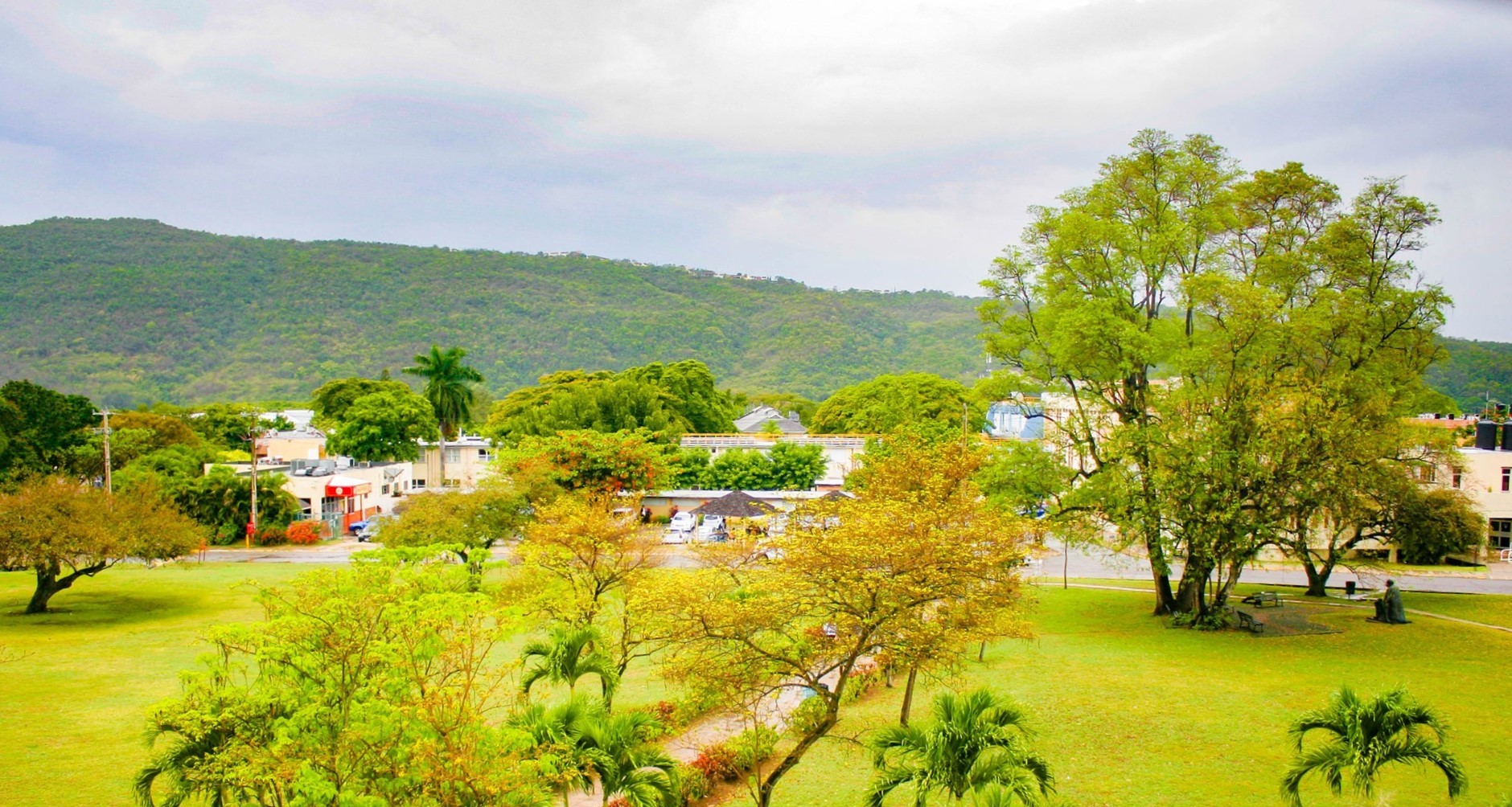 Profile for The University of the West Indies, Mona Campus - HigherEdJobs