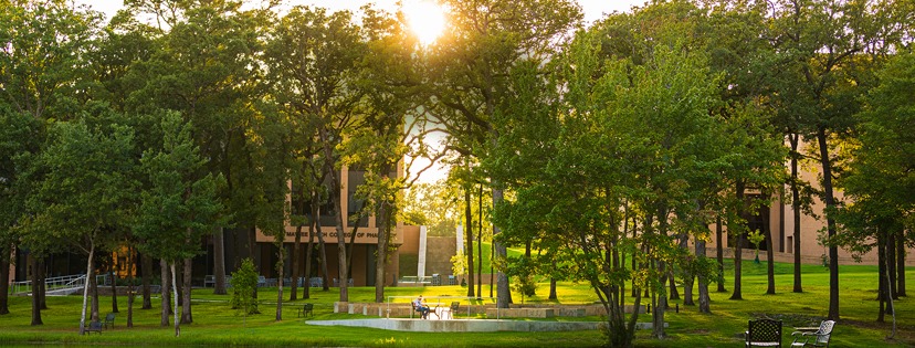 Profile for The University of Texas at Tyler - HigherEdJobs